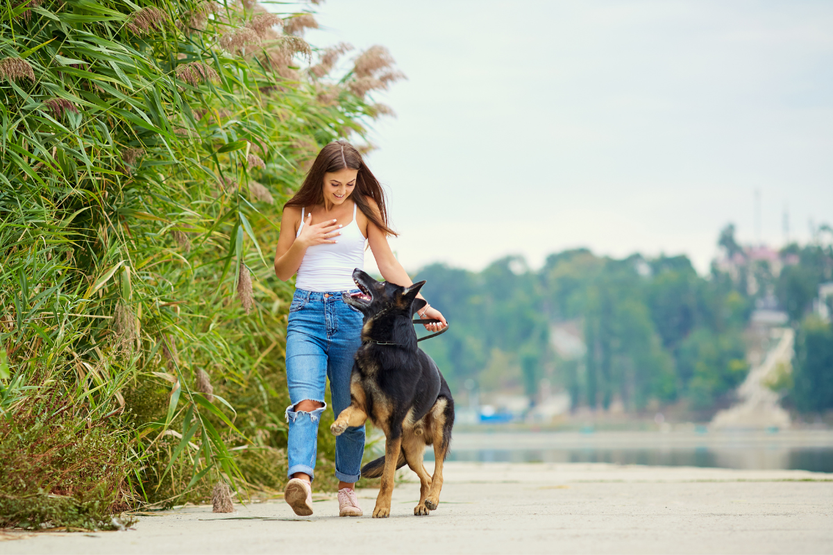 Outdoor Safety: 5 Tips to Protect Your Dog - Lake Wylie Pet Resort